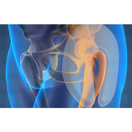 SAFEHIP® AirX® Unisex Hip Protector Pants | CLH Healthcare