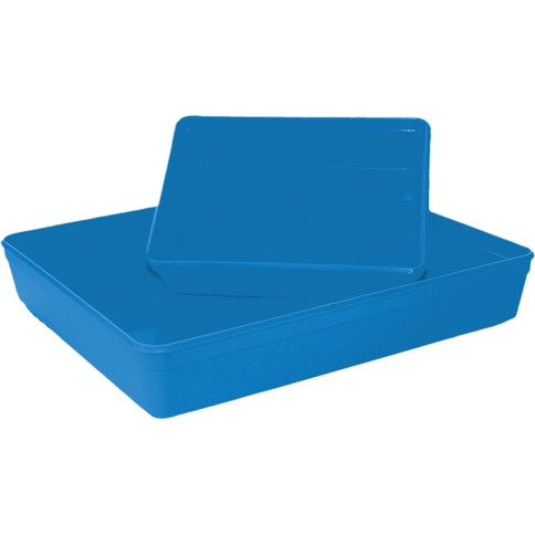 Blue Plastic Instrument Tray - 30x25cm | CLH Healthcare